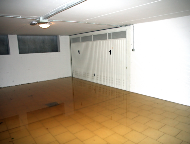 Everything You Need To Know About Preventing Water Damage in Your ...