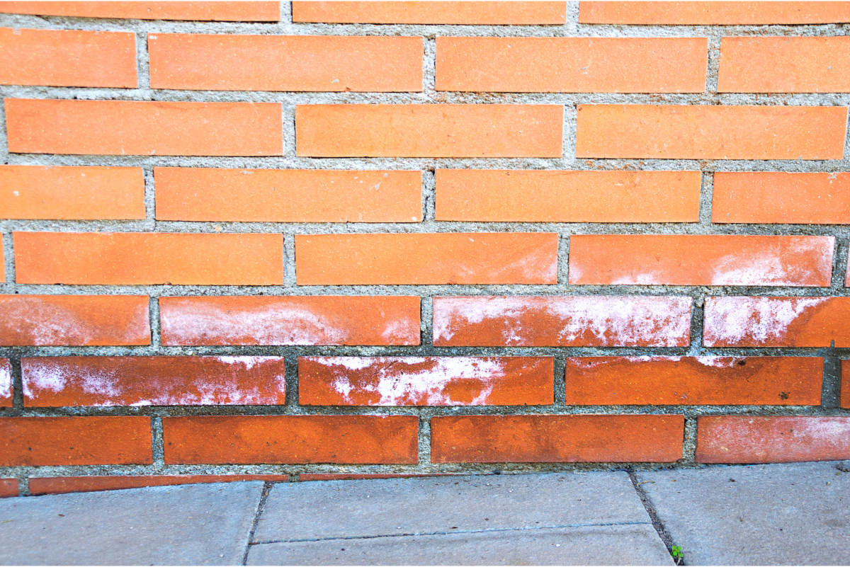 Dont Ignore Water Damage - Get it Taken Care of Properly | Affordable ...